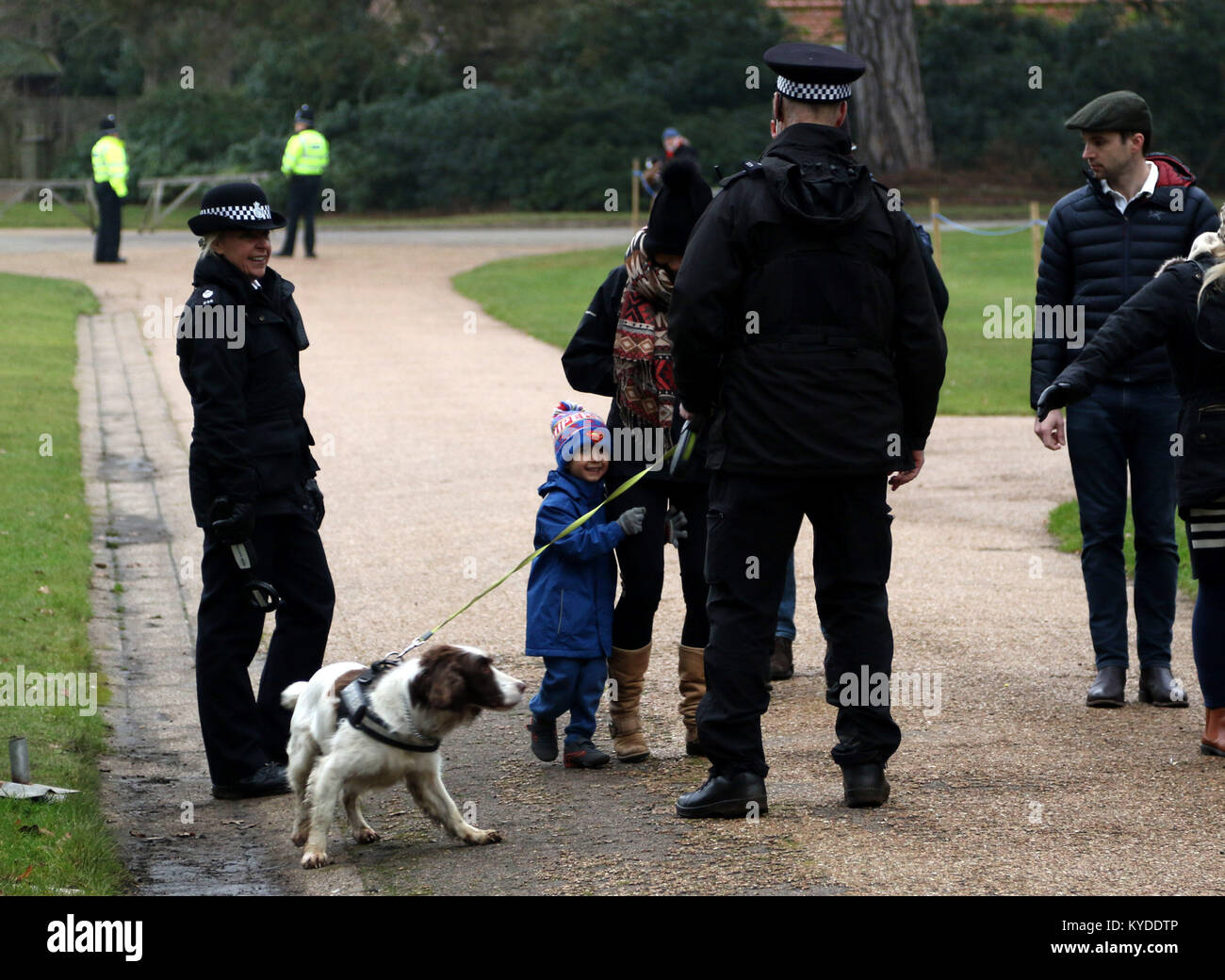 Sandringham, Norfolk, UK. 14th Jan, 2018. A little boy hides from ...