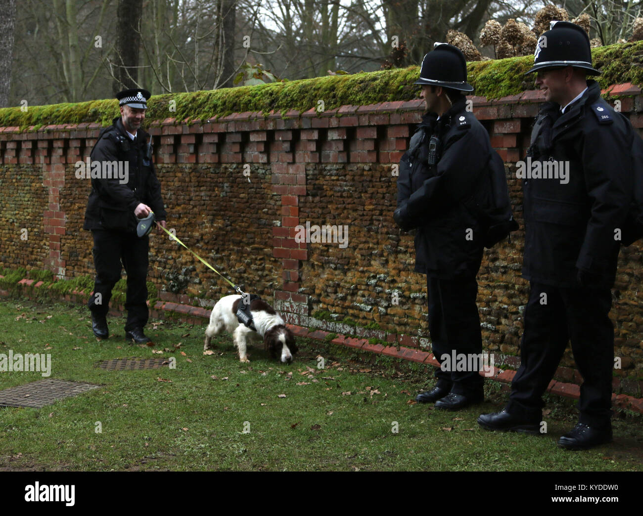 Sandringham, Norfolk, UK. 14th Jan, 2018. A police explosive search dog ...