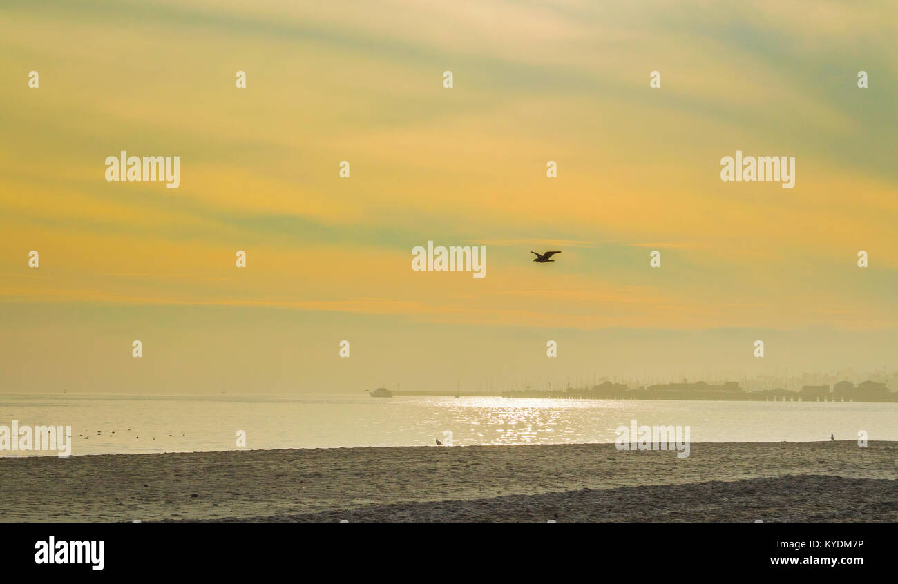 golden, smoky sky with a seabird flying and sun shimmering on the ocean ...