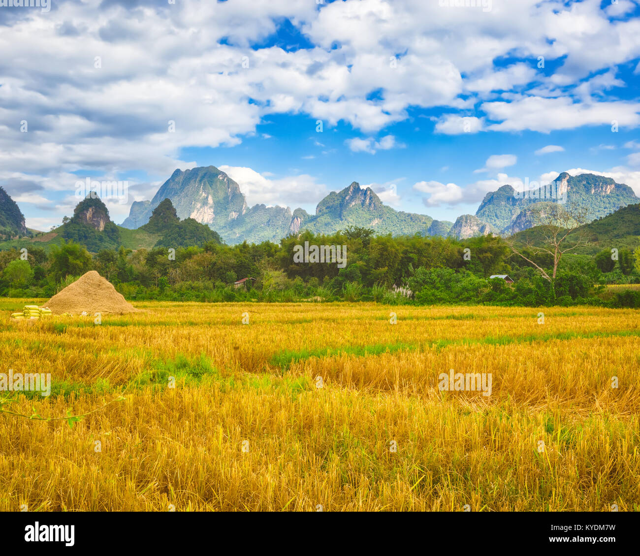 Rice field and mountains. Beautiful rural landscape. Vang Vieng, Laos ...