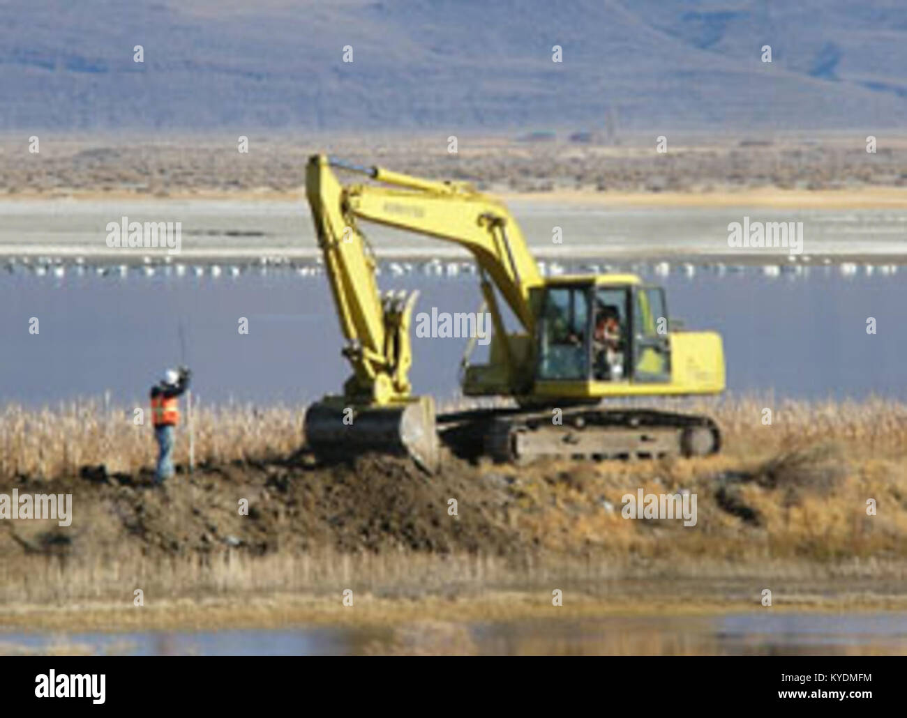 Habitat restoration and enhancement project hi-res stock photography ...