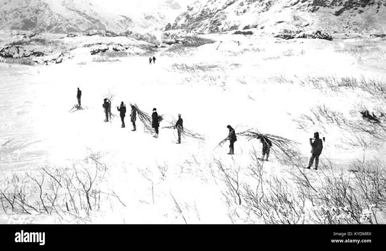 Survivors of the wrecked FARALLON gathering firewood, Iliamna Bay ...