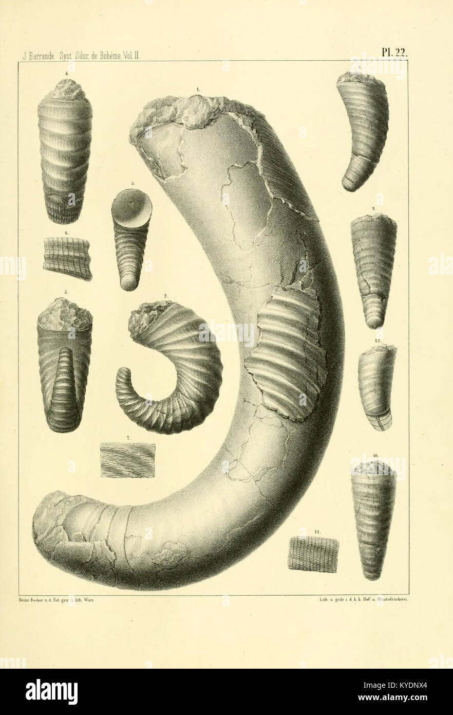 This plate illustrates the Silurian system of central Bohemia, focusing ...
