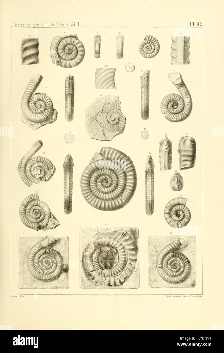 This illustration depicts the Silurian system in the Central Bohemia ...