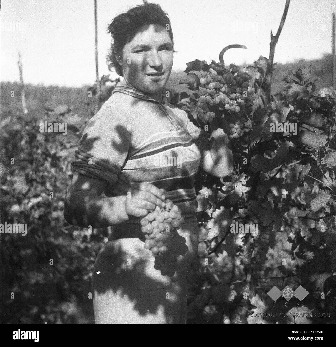 Grapes in hand Black and White Stock Photos & Images - Alamy