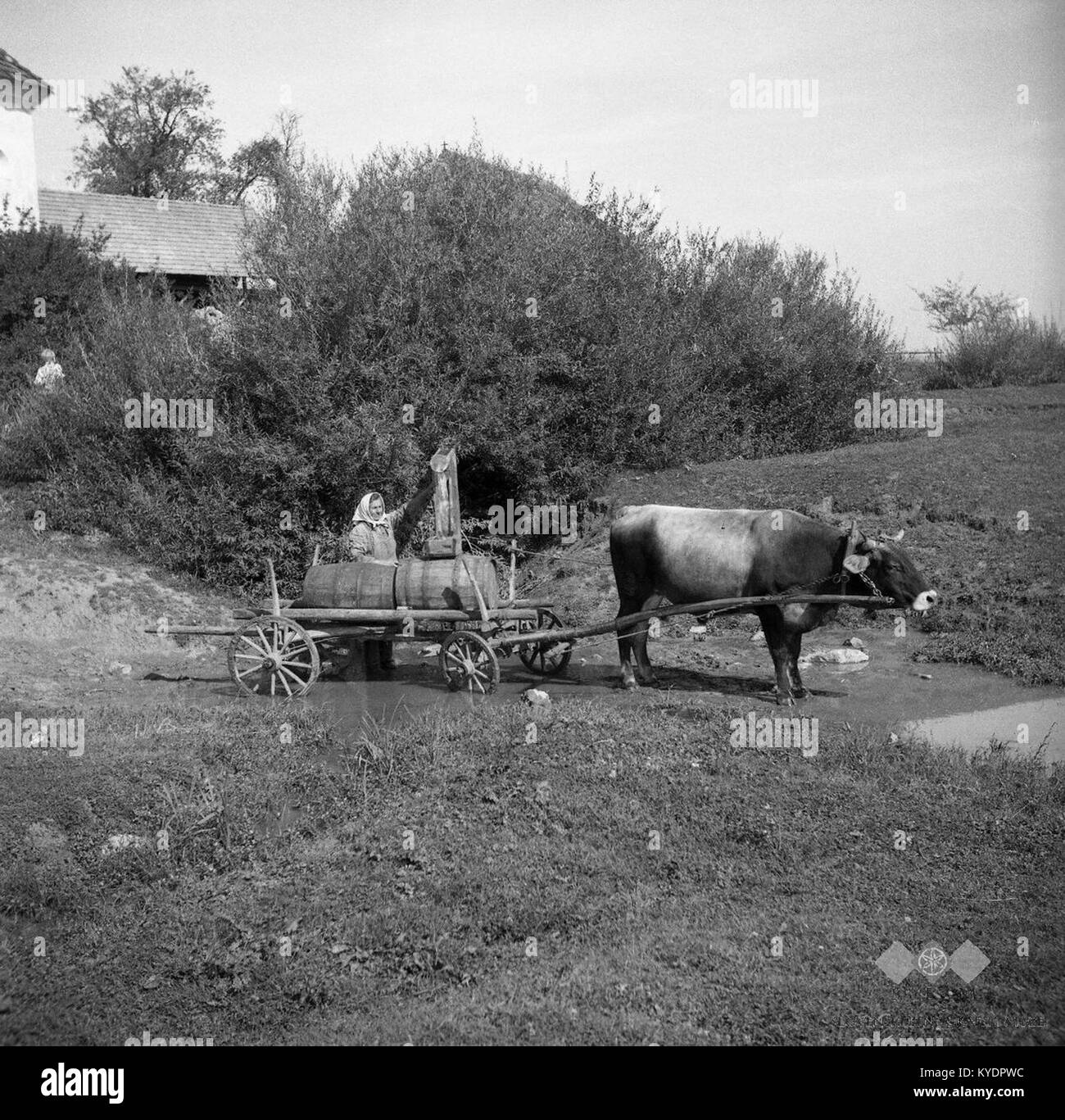 Vodo hi-res stock photography and images - Alamy