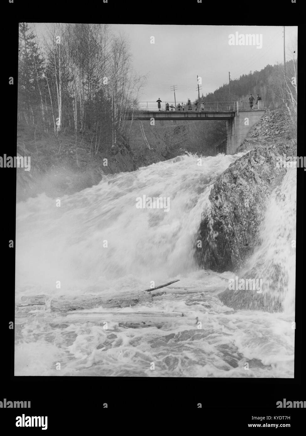 This image captures timber rafting on the Skjerva river in Norway ...