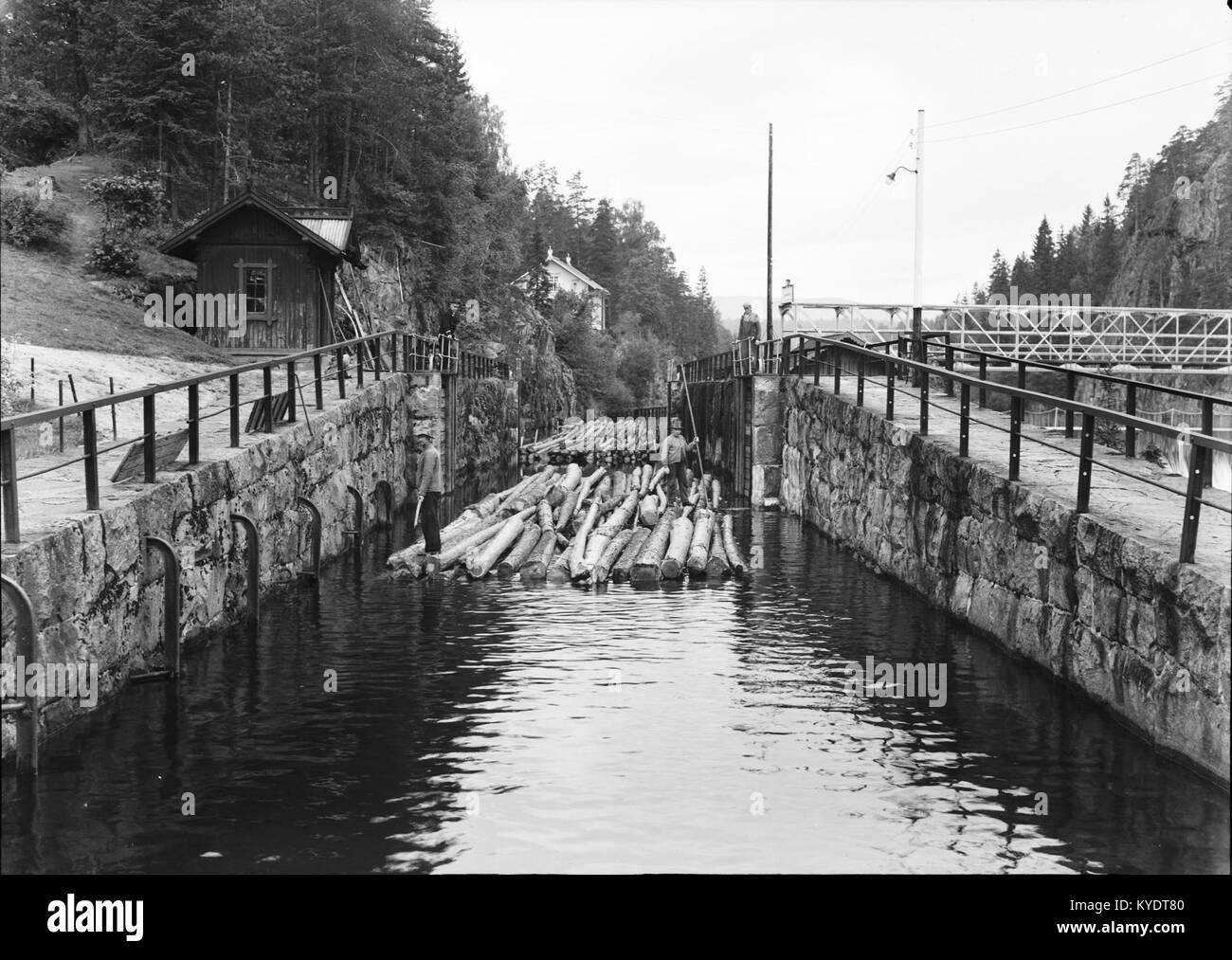 Historical timber transport hi-res stock photography and images - Alamy