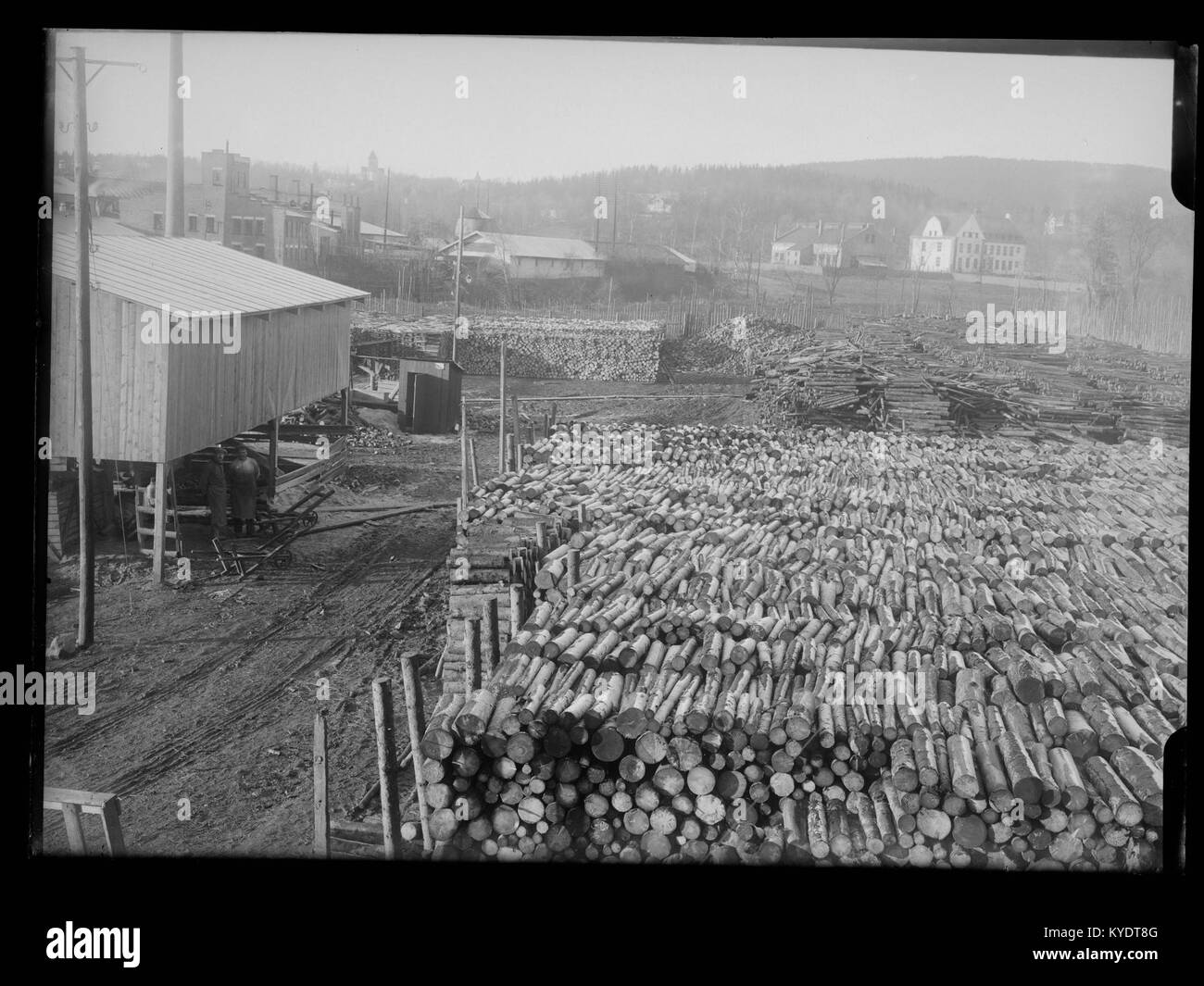 A photograph of a timber storage facility in Norway, showcasing the ...