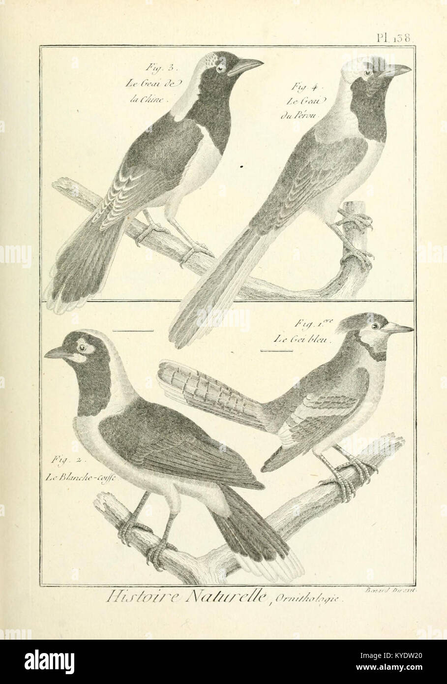 This plate from an encyclopedic work outlines the three kingdoms of ...