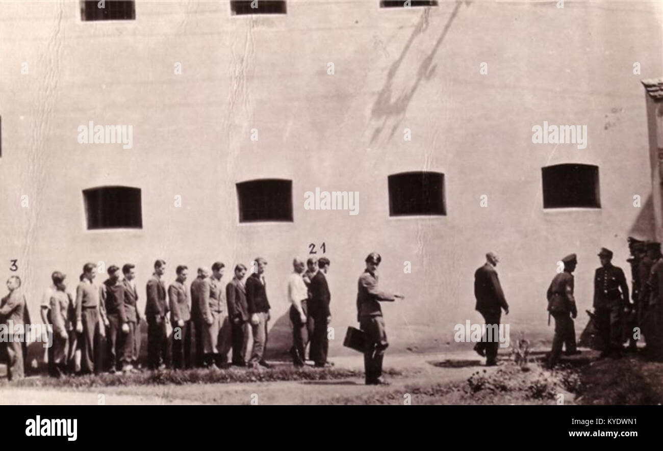 Talce vodijo na dvorišče Stock Photo - Alamy