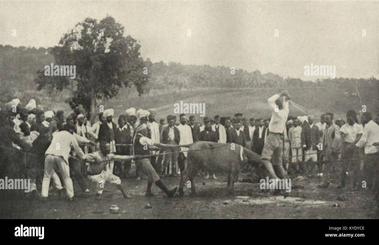 Loimwe hi-res stock photography and images - Alamy