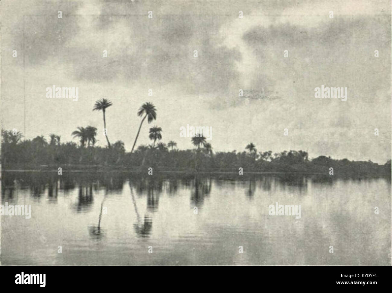 Adyar river hi-res stock photography and images - Alamy