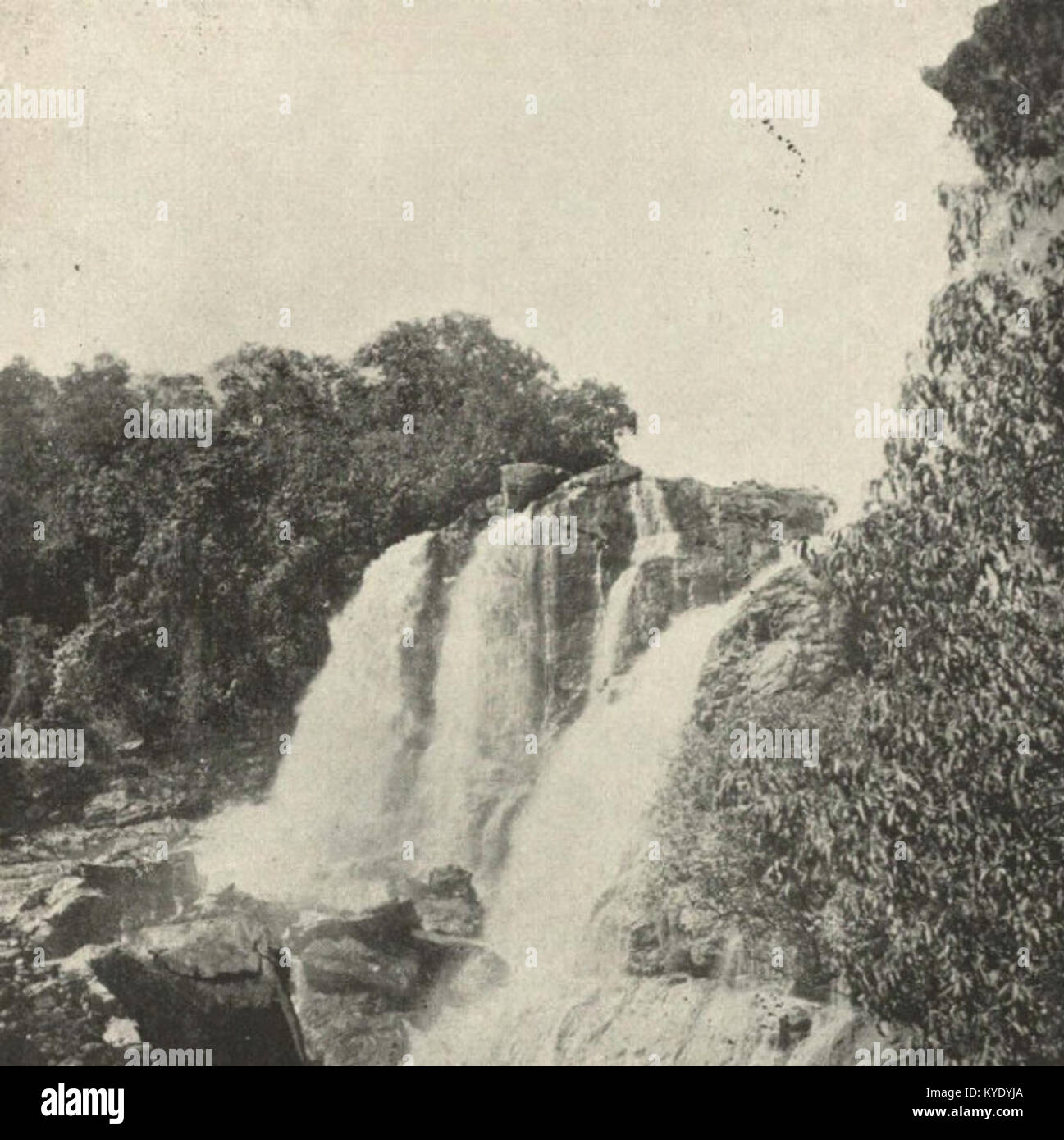 Chukki High Resolution Stock Photography and Images - Alamy