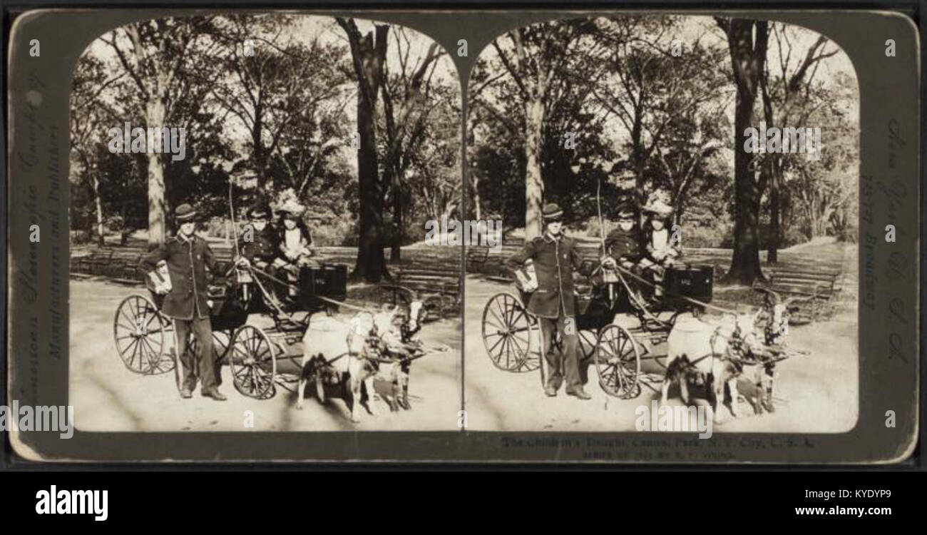 A stereoscopic photograph titled 'The children's delight' showing ...