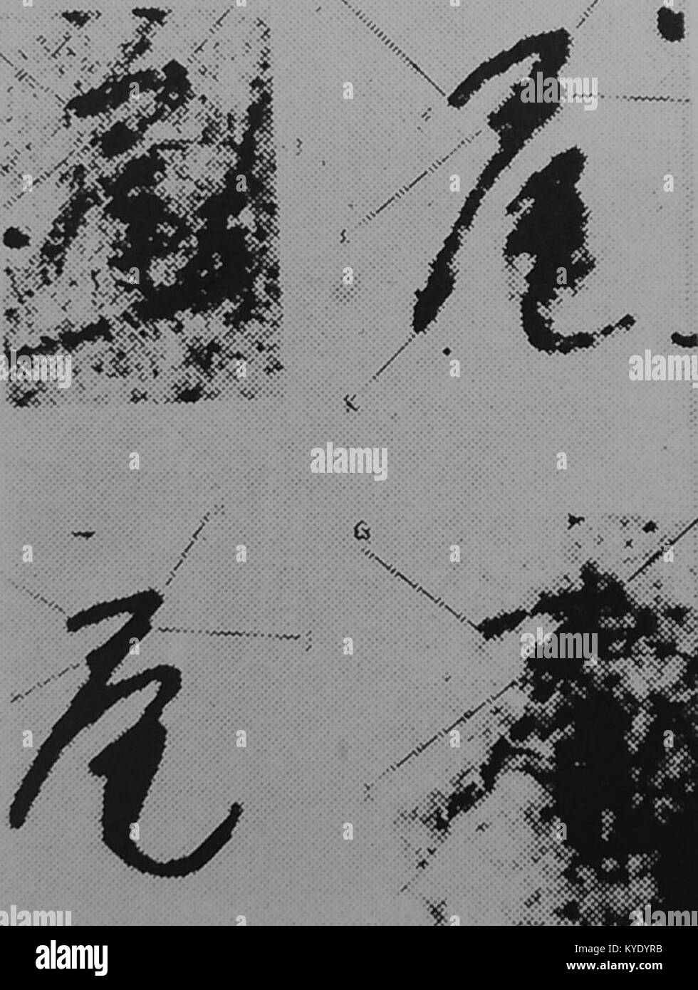 A linguistic comparison of the Chinese character '尾' (meaning tail ...