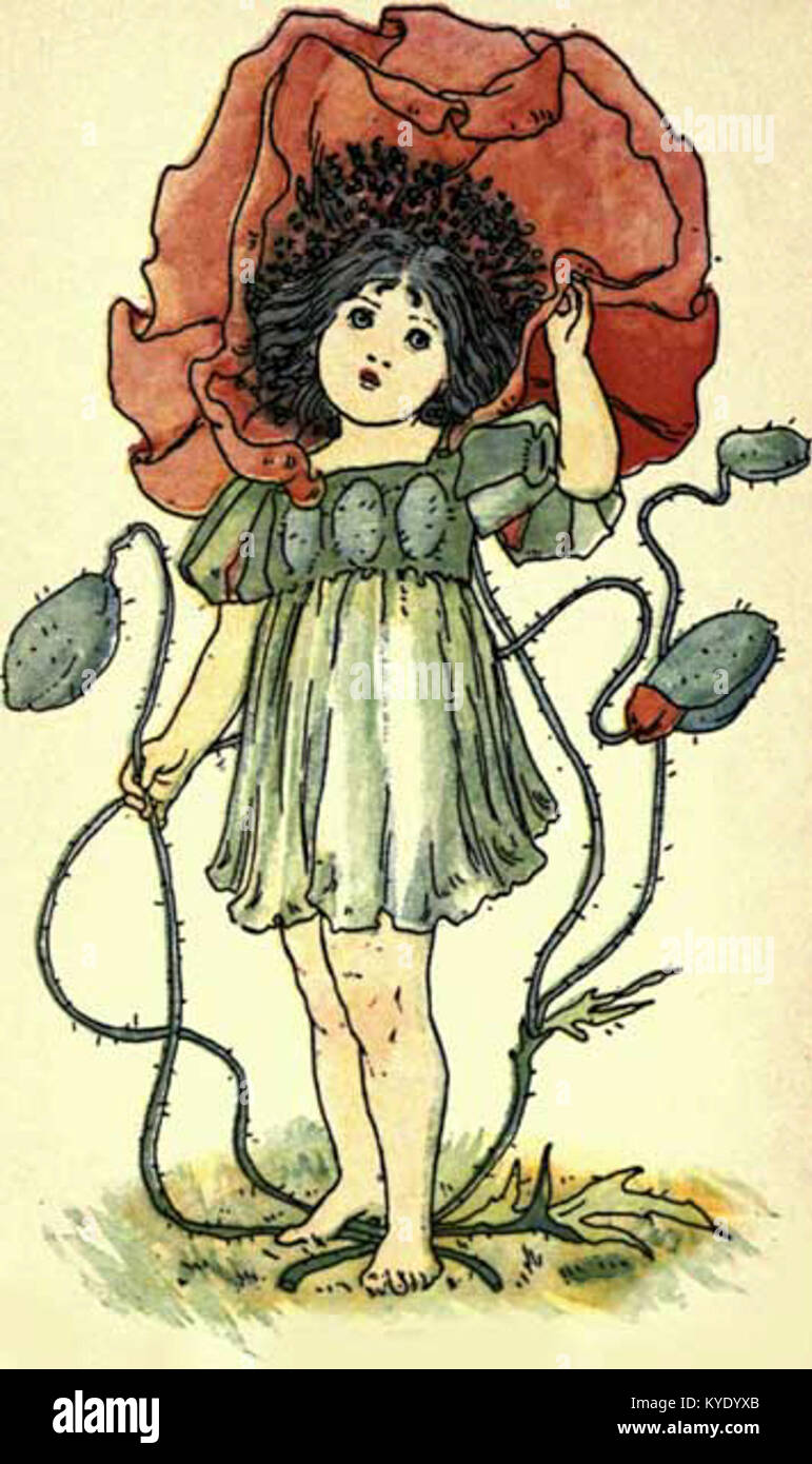 The Dumpy Books for Children; No. 7. A Flower Book, Poppy Stock Photo ...