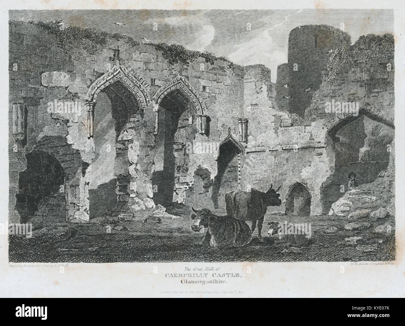 Castle great hall illustration hi-res stock photography and images - Alamy