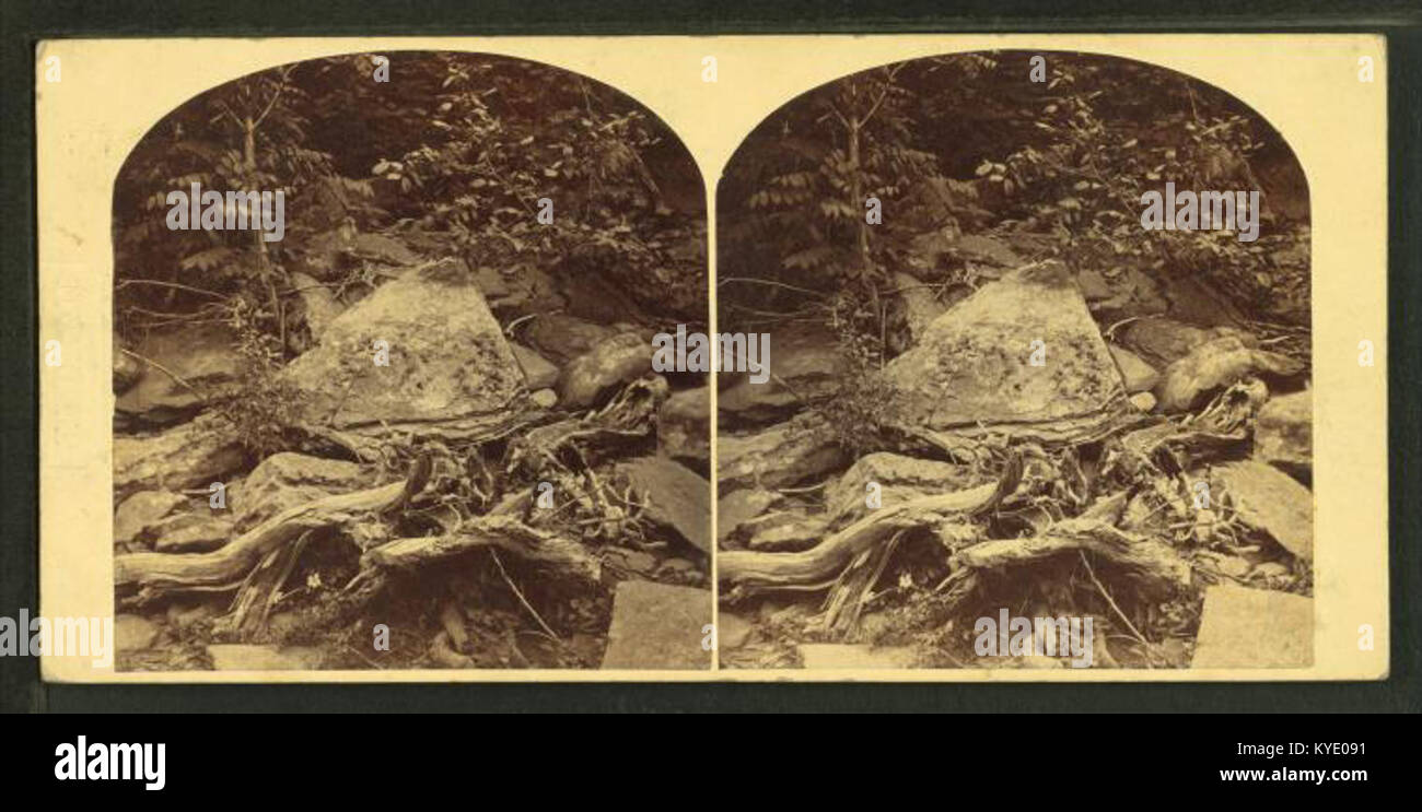 The hillsides of the Tohicon, Point Pleasant, Bucks County, Pa, by ...