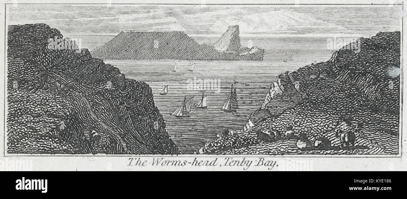 A scenic view of the Worms Head in Tenby Bay, located in Wales. The ...
