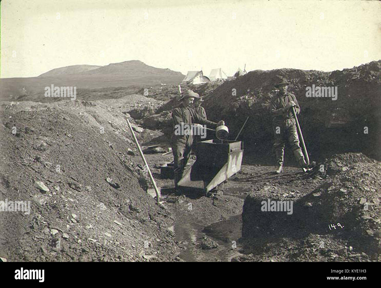 Hester Gold High Resolution Stock Photography and Images - Alamy