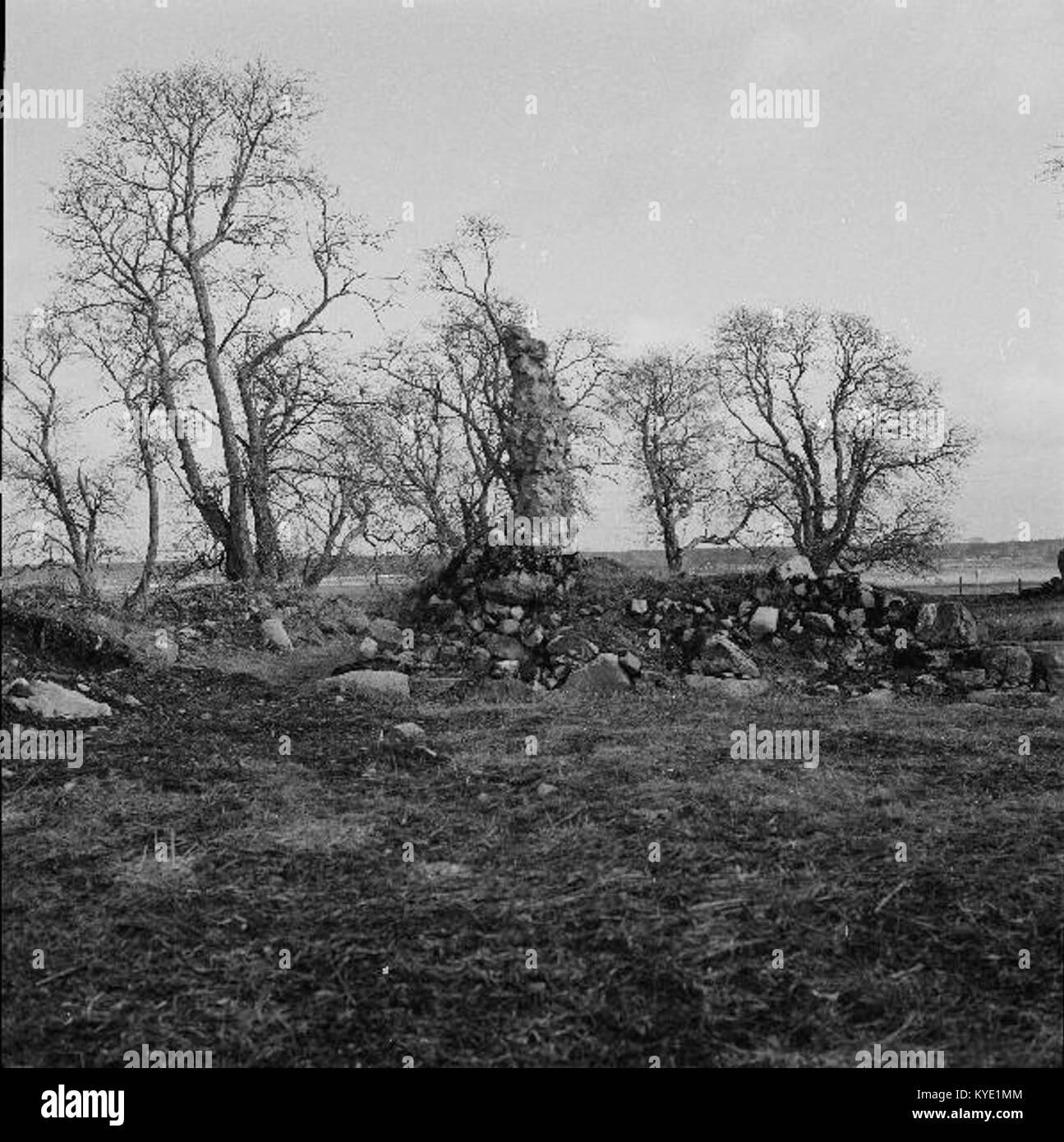 A photograph of the Husbyborg Church ruin in Tierp, Sweden, showing ...