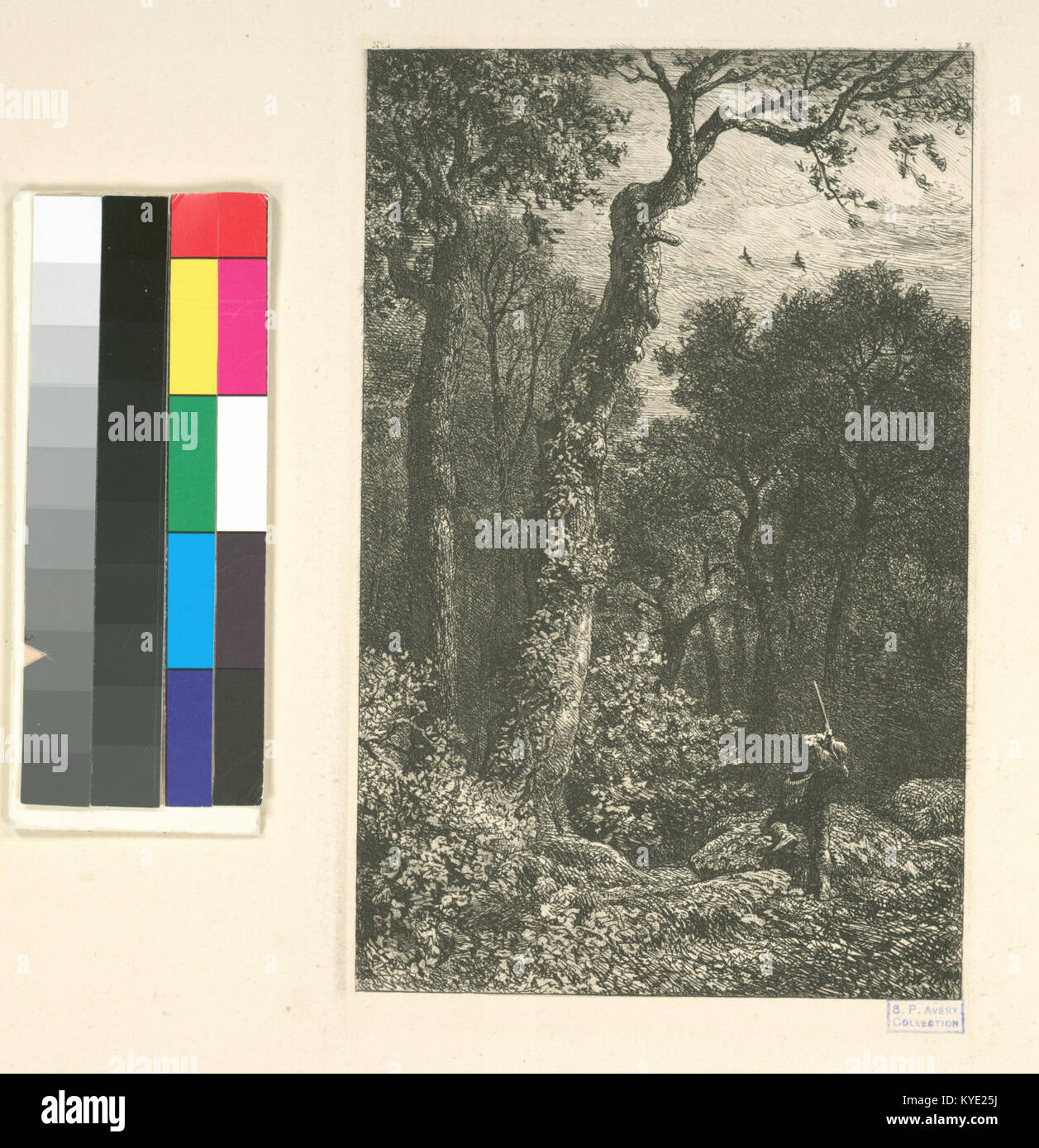 A French illustration titled Tir à la bécasse (Woodcock Shooting ...