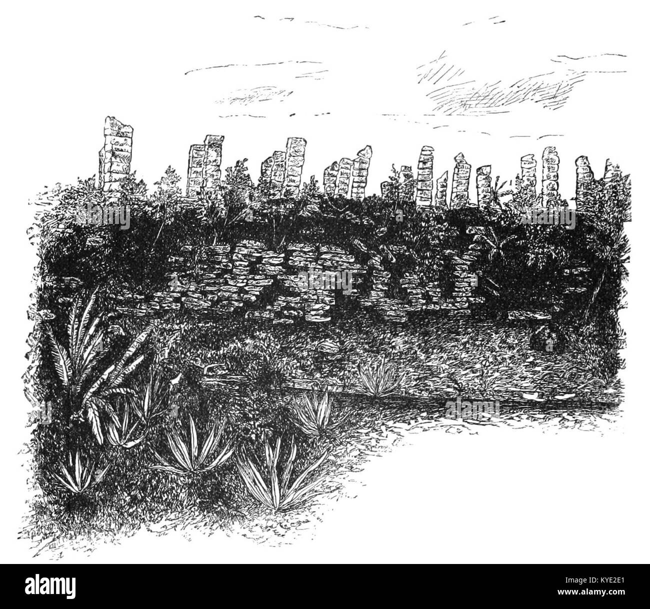 A general view of the Ak area, offering a broad perspective on its ...