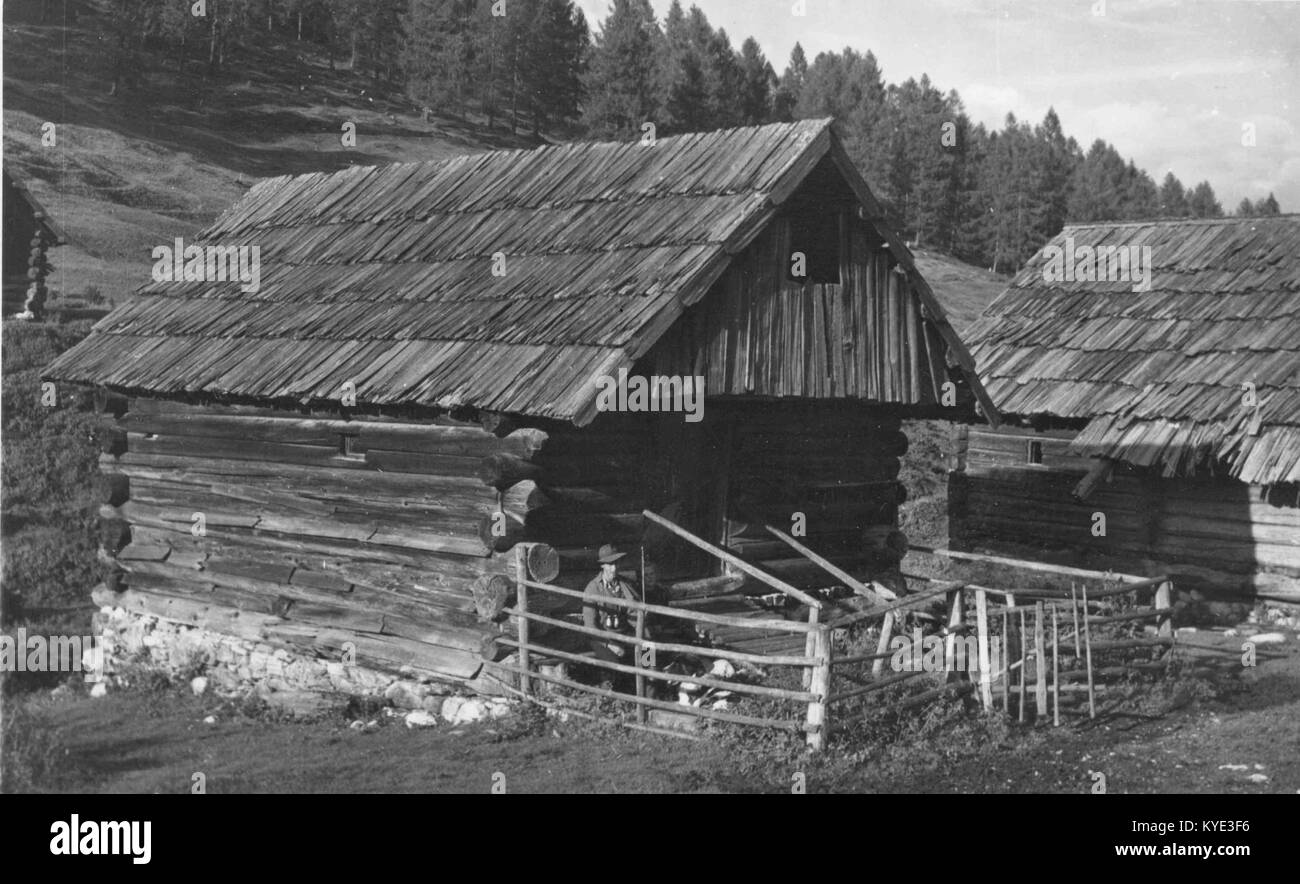 This photograph captures a scene from the Dolian Plateau in 1951 ...