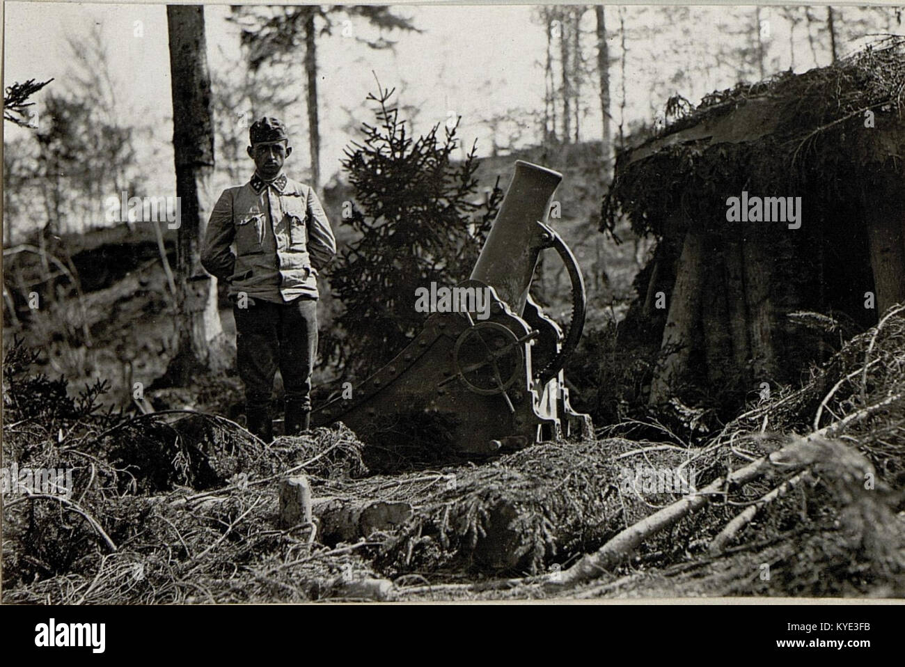 The image features the Tonezzoplateau 15 cm Mörser M80, a type of ...