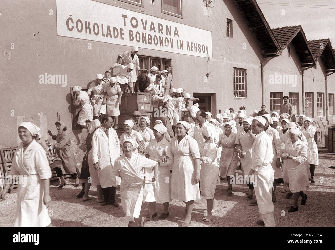 A 1960 image of the Sana factory in Hoče, Slovenia, showing chocolate ...