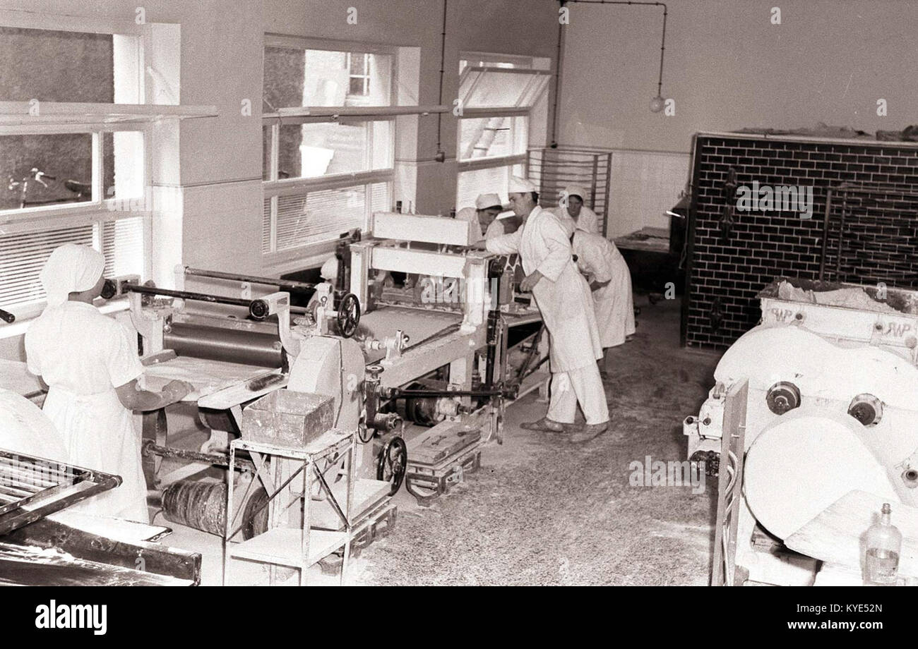 A 1960 photograph of the Tovarna Sana factory in Hoča, Slovenia ...