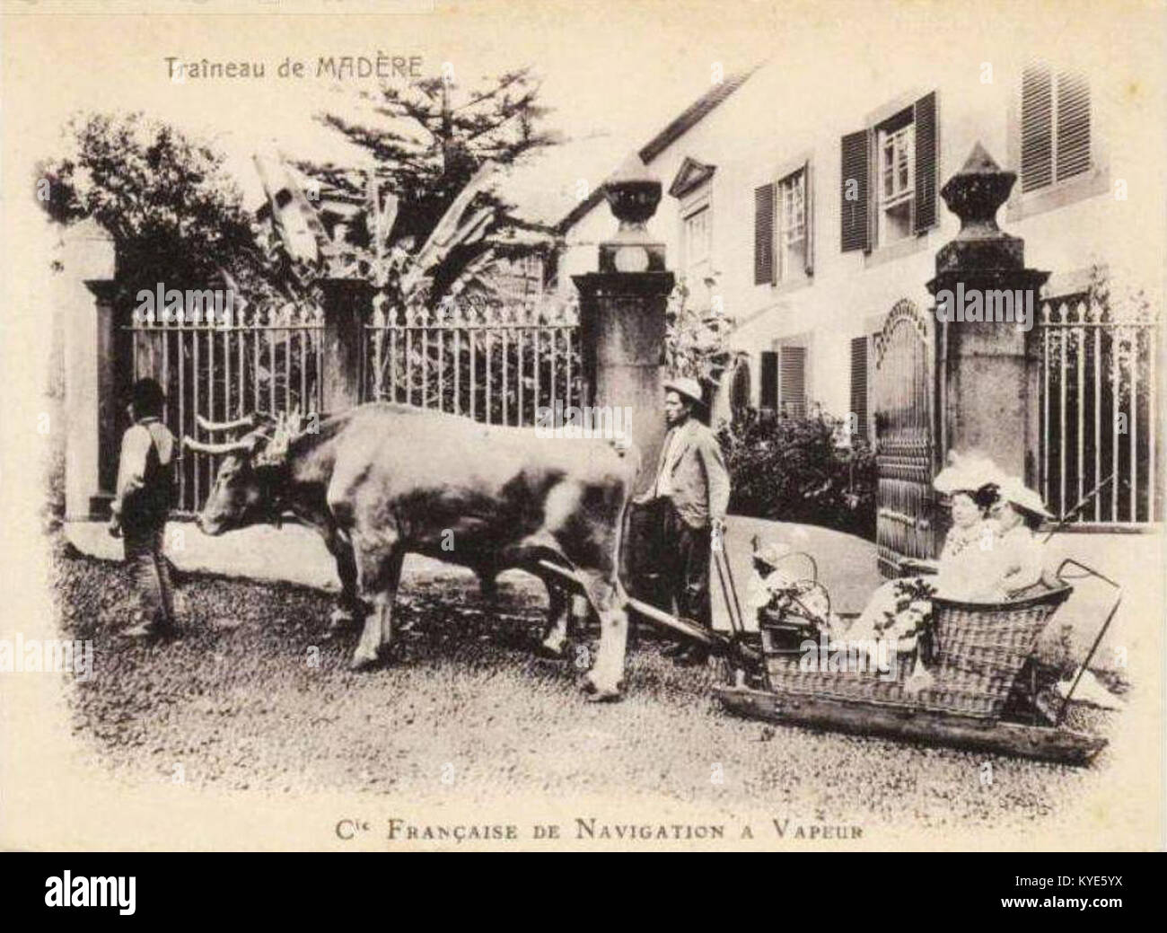 A late 19th-century photograph of a tramway from the 1890s, showcasing ...