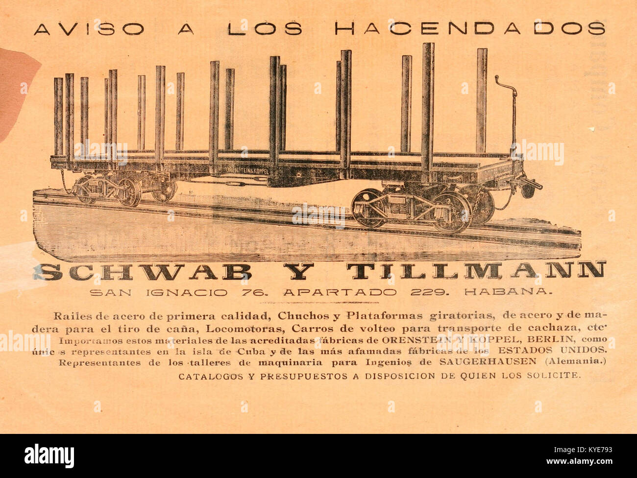 A historical work detailing the trees of Cuba, Isla de Pinos, and ...