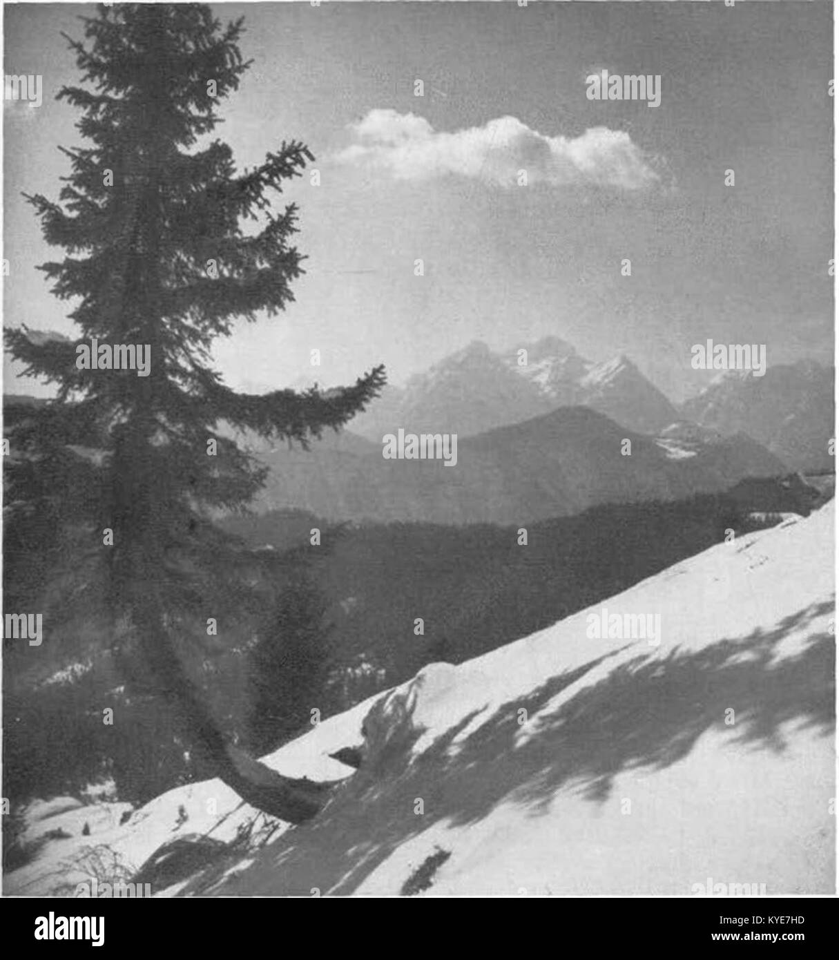 Terrain contours Black and White Stock Photos & Images - Alamy