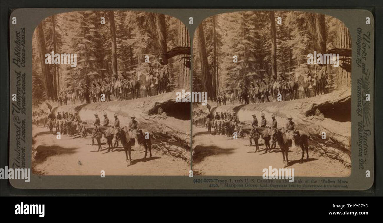 A historical photograph of Troop I, 15th U.S. Cavalry, standing on the ...