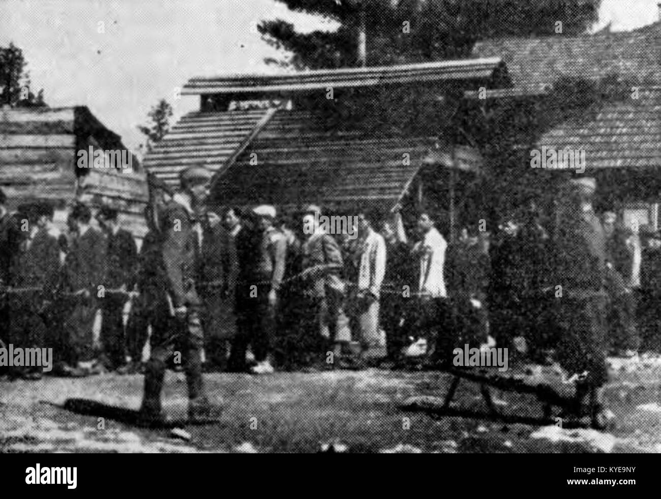 This photograph depicts White Guard soldiers captured in the village of ...