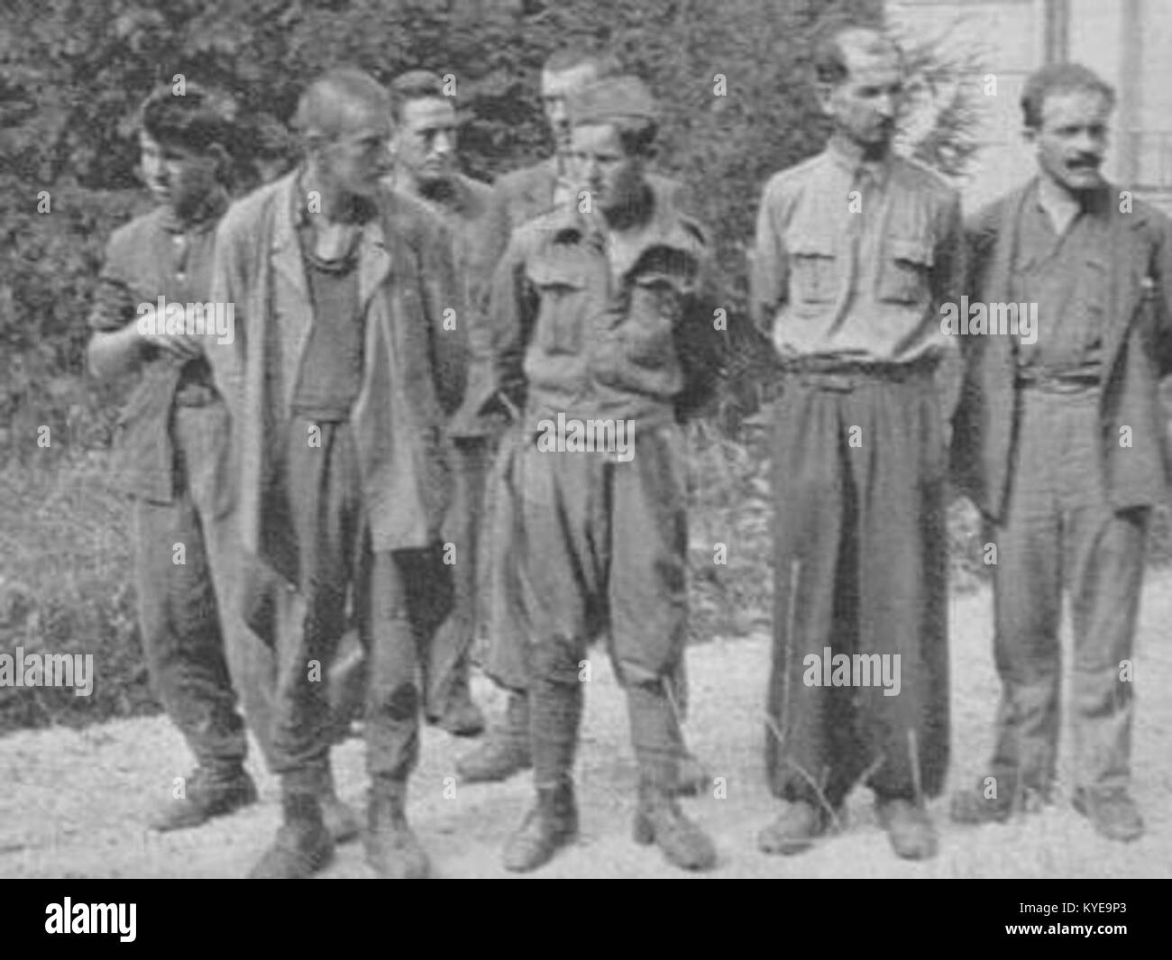 Photograph of captured Partisan fighters during World War II, showing ...