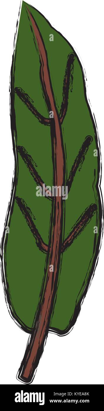 Leaf plant symbol Stock Vector Image & Art - Alamy