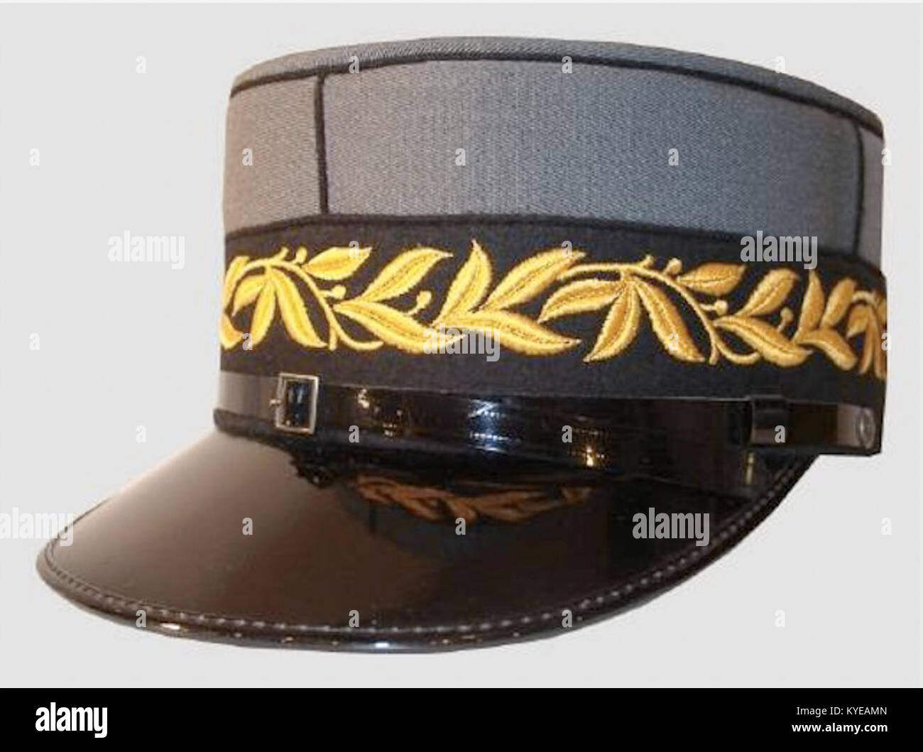 A photograph showcasing the uniform of a Brigadier General of the Swiss ...