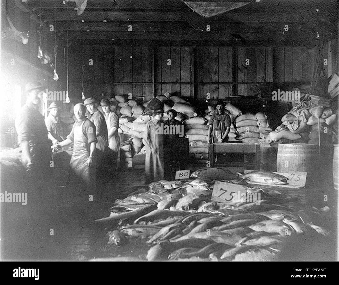 A 1914 photograph of the Union Bay Fish Company plant interior in ...