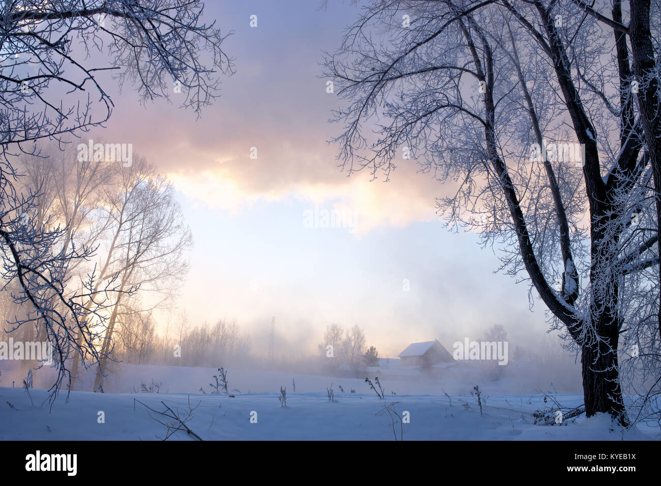 Snowy landscape with trees Stock Photo - Alamy