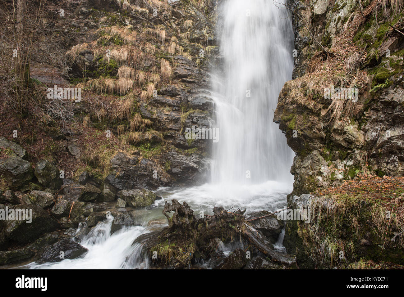Todtnau waterfall, black forest germany Stock Photo - Alamy