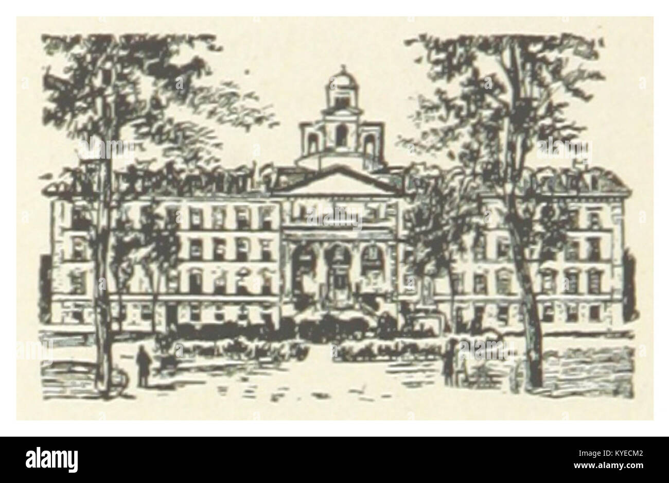 South building Cut Out Stock Images & Pictures - Alamy