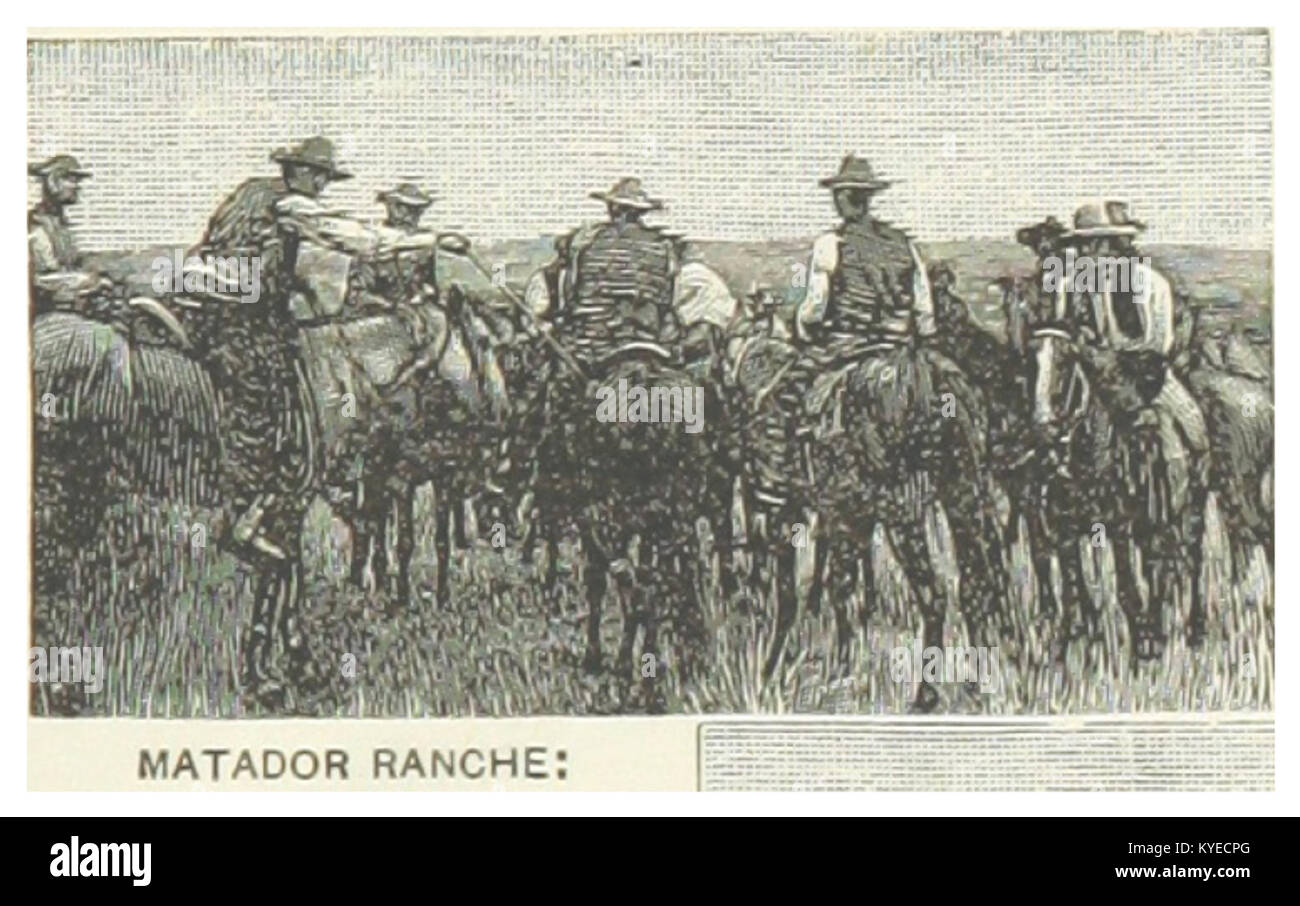 Cattle ranch texas 19th century hi-res stock photography and images - Alamy