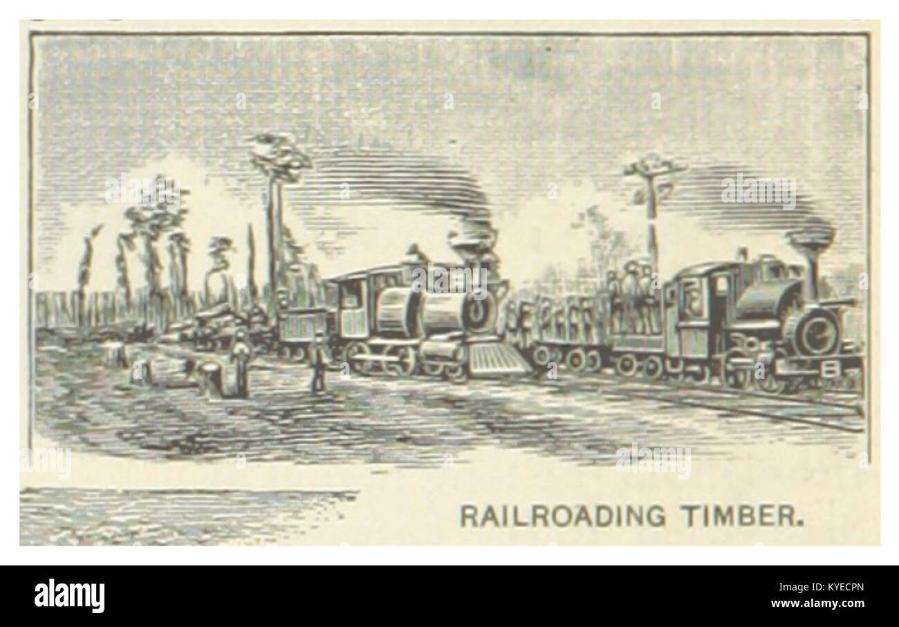This image from 1891 depicts timber used in railroad construction in ...