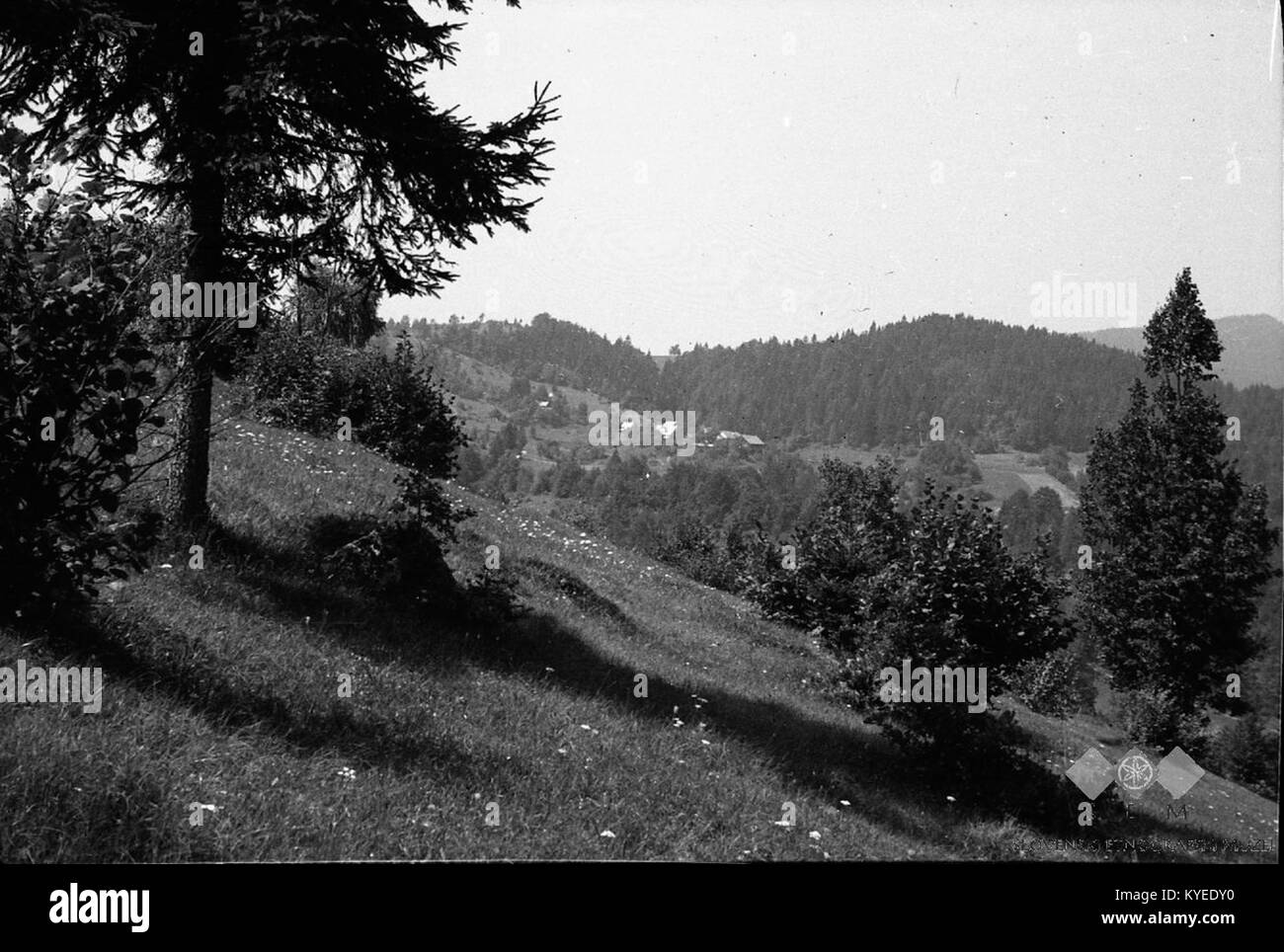 This 1960 photograph from Mackov, Slovakia, depicts daily life and ...