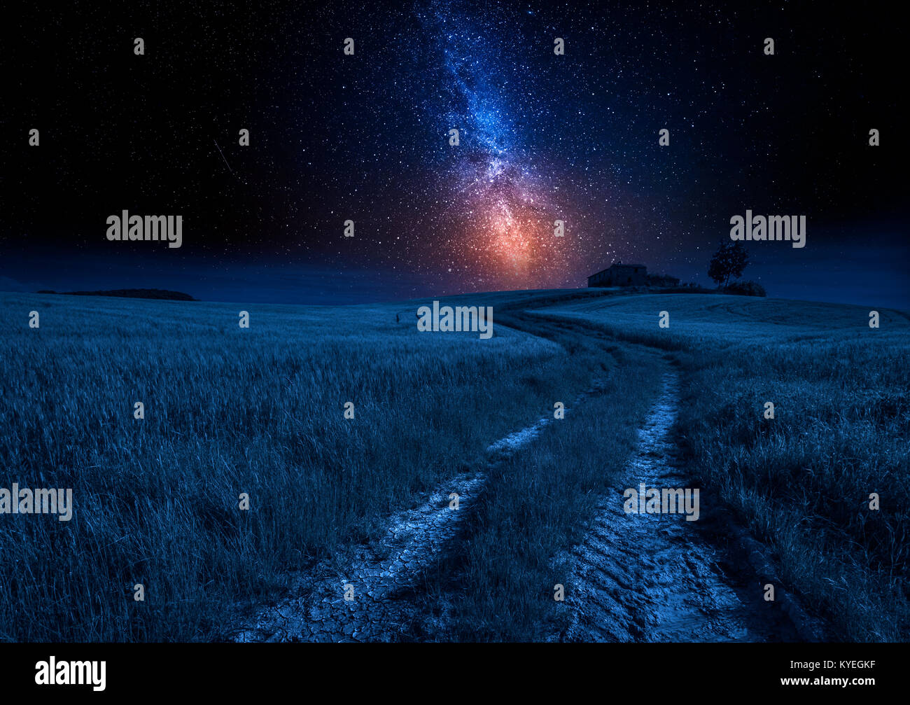 Country road in the night with stars in the sky hi-res stock ...