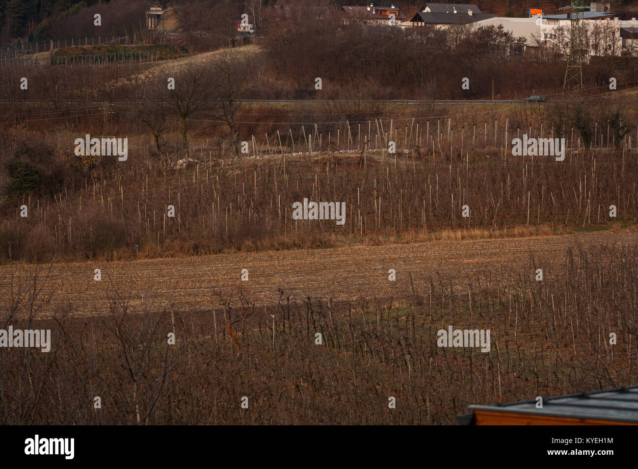 The naz church hi-res stock photography and images - Alamy