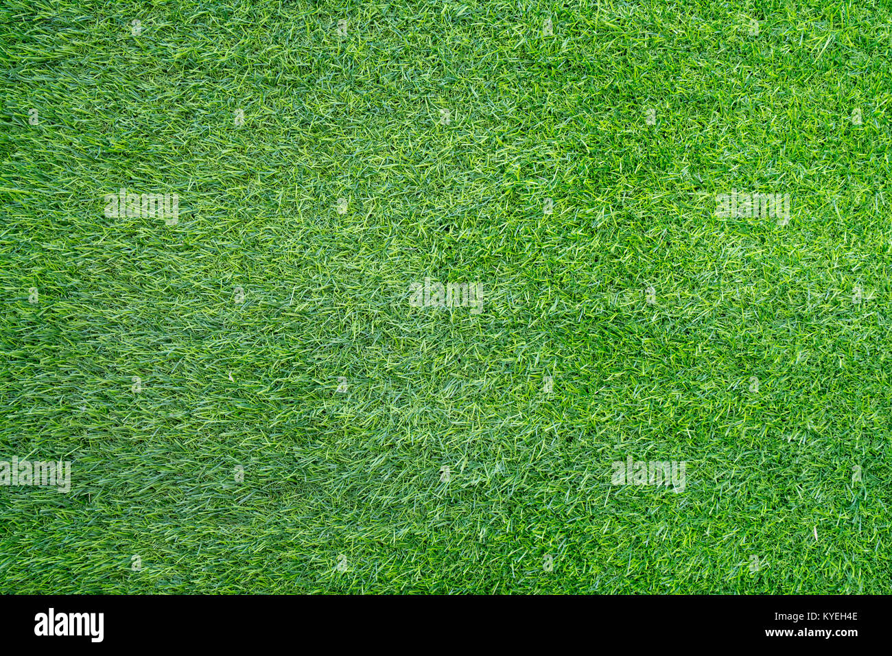 green grass texture Stock Photo - Alamy